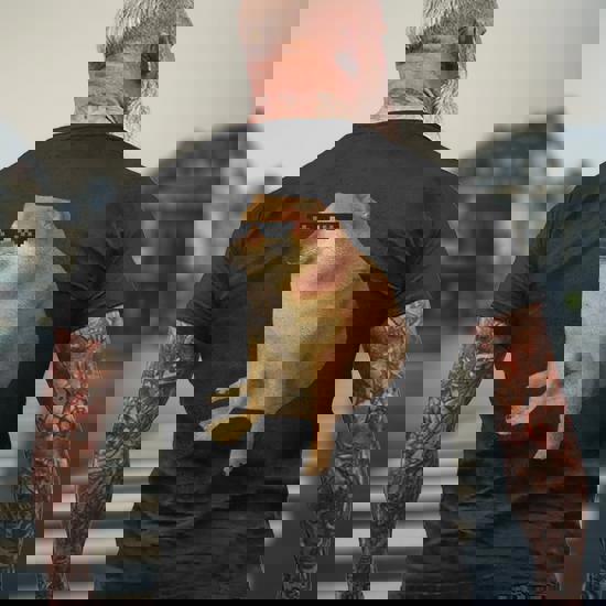 Meme Doge Con Occhiali Da Sole