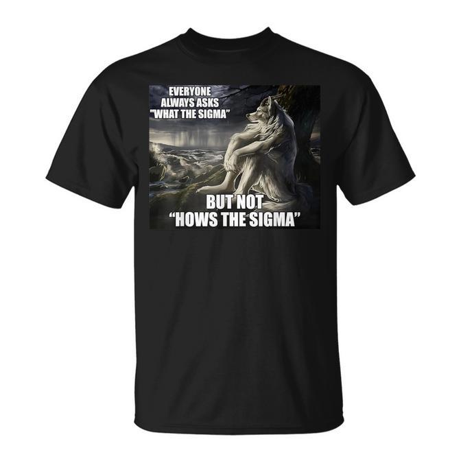 Erm What The Sigma Cat Meme T-Shirt | Mazezy