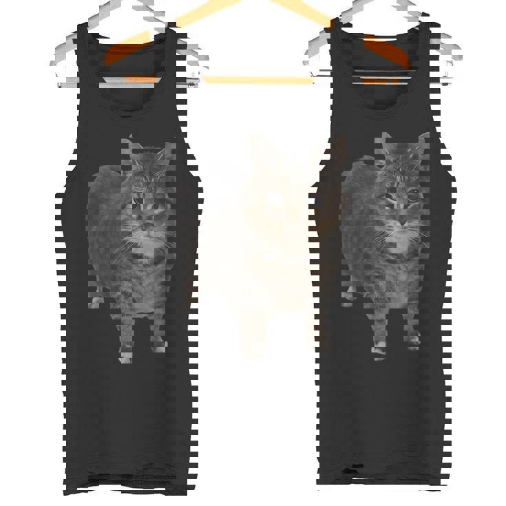 Oiia Oiia Spinning Cat Meme Oiiai Oiiiai Brainrot Tank Top - Monsterry