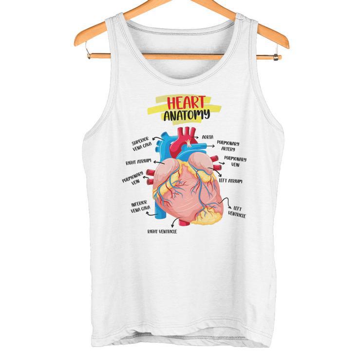 Anatomy Human Heart Cardiologists Doctor Anatomical Medical Premium ...
