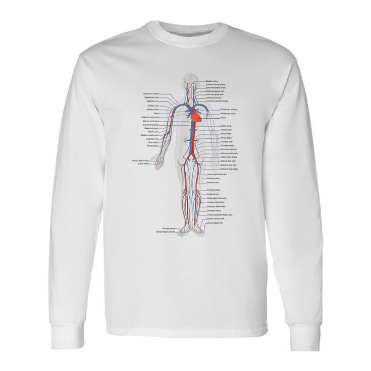 The Human Circulatory System Vascular System Anatomy Biology Long ...