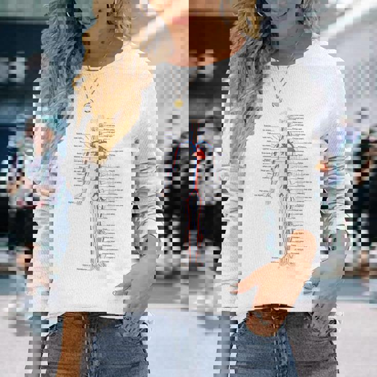 The Human Circulatory System Vascular System Anatomy Biology Long ...