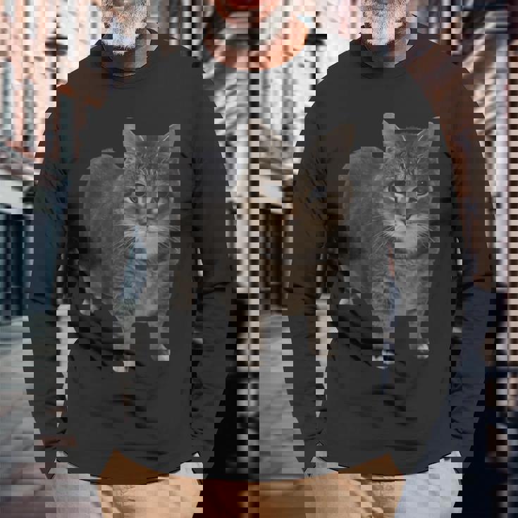 Oiia Oiia Spinning Cat Meme Oiiai Oiiiai Brainrot Long Sleeve T-Shirt ...