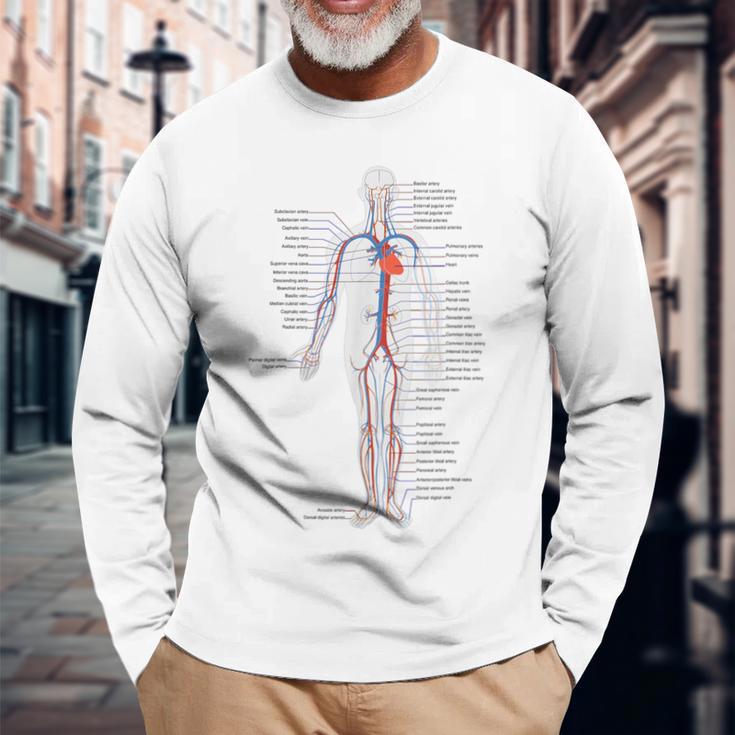 The Human Circulatory System Vascular System Anatomy Biology Long ...