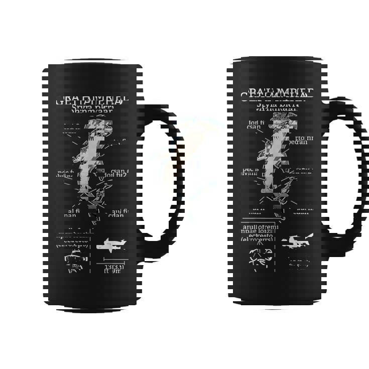 Great Hammerhead Shark Anatomy Ocean Animal Marine Biologist Graphic ...