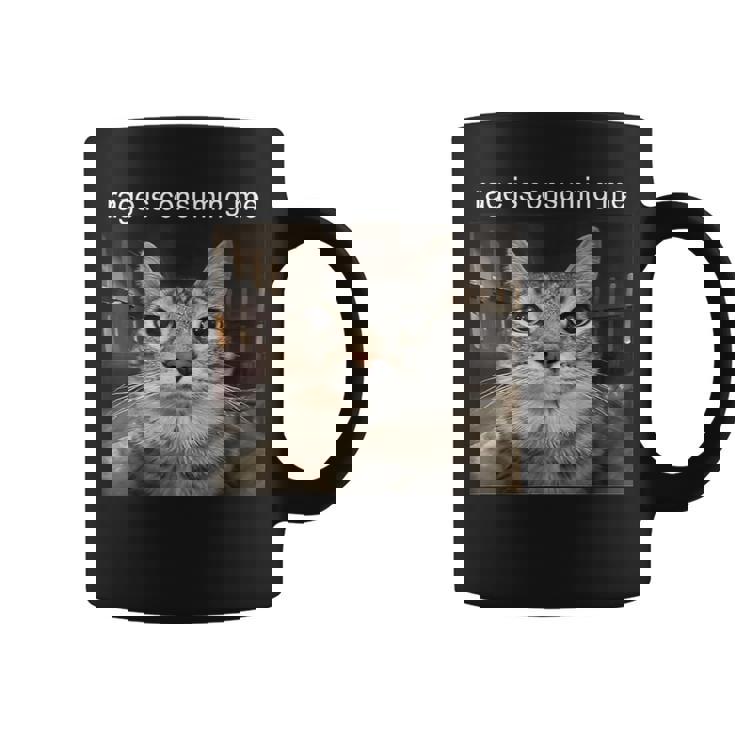 Rage Is Consuming Me Silly Cat Meme Coffee Mug | Mazezy