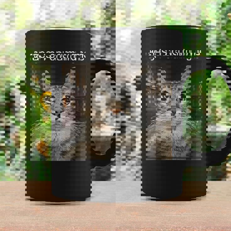 Rage Is Consuming Me Silly Cat Meme Coffee Mug | Mazezy