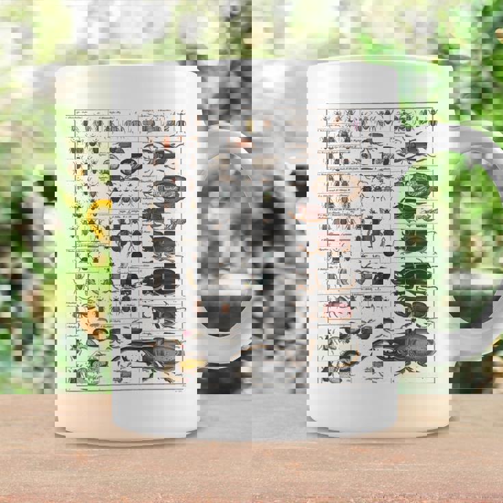 Insect Collection Species Bugs Vintage Chart Entomology Premium Graphic ...