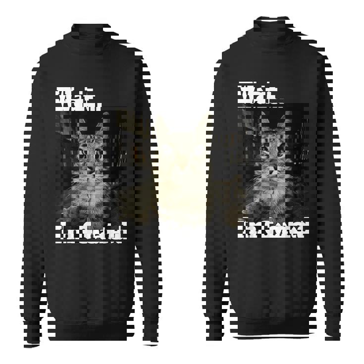 Wait I'm Goated Brainrot Cat Meme Sweatshirt | Mazezy UK
