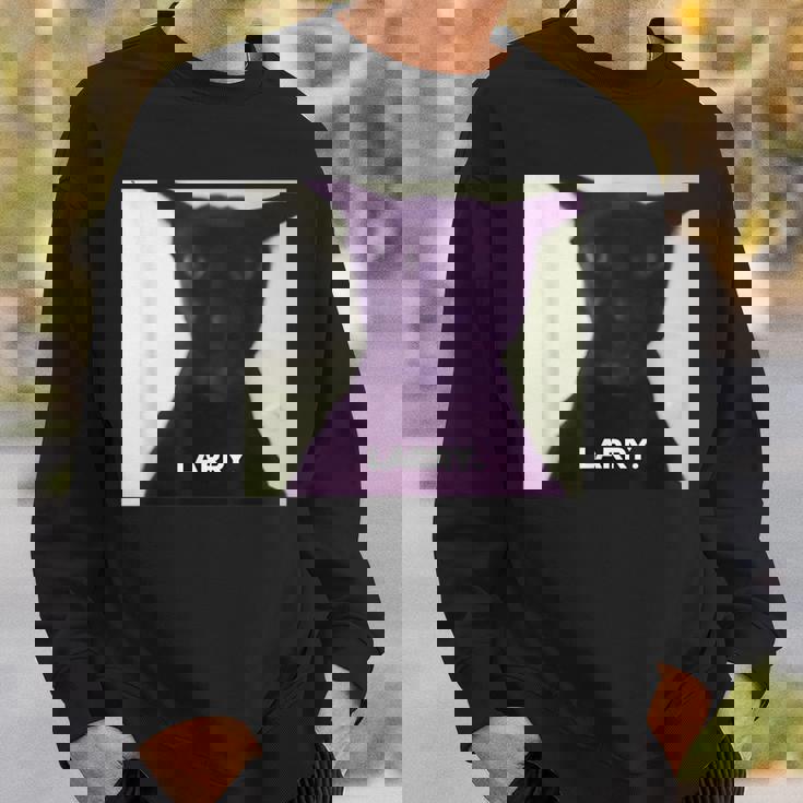 Silly Meme Cat Brainrot Meme Gen Z Meme Sweatshirt - Seseable