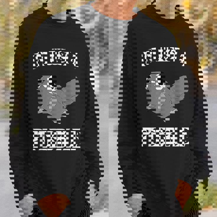 Unique It's Just A Pebble Dandy's World Dandy's World Pebble Sweatshirt ...