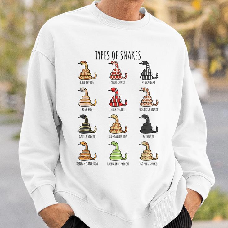 Cute Types Of Snakes Pythons Kingsnake Hognose Snake Boas Sweatshirt ...