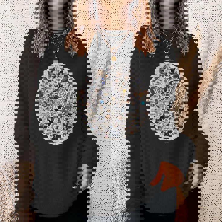 Diatoms Algae Microalgae Sea Flora Life Biology Biomass Fun Sweatshirt ...