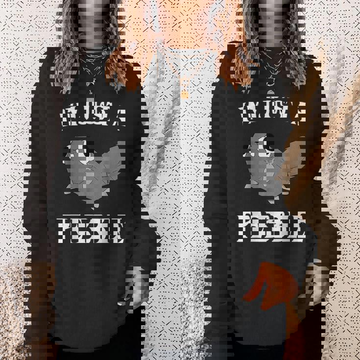 Unique It's Just A Pebble Dandy's World Dandy's World Pebble Sweatshirt ...