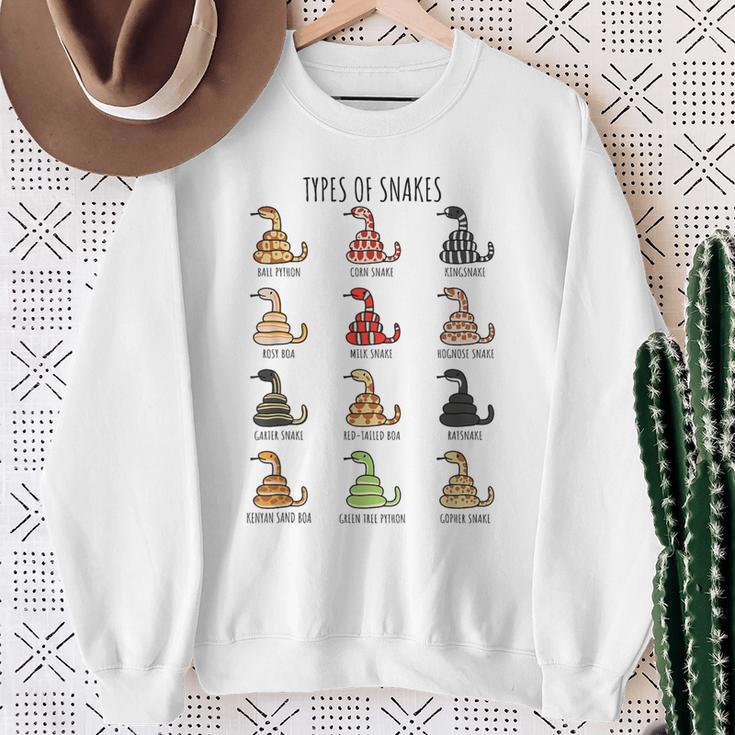 Cute Types Of Snakes Pythons Kingsnake Hognose Snake Boas Sweatshirt ...