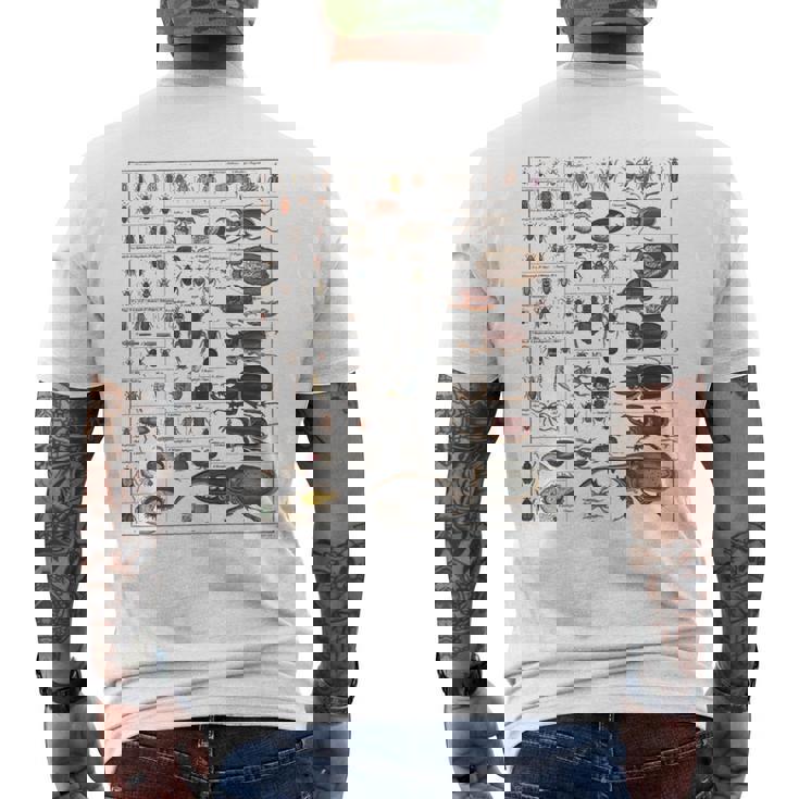 Insect Collection Species Bugs Vintage Chart Entomology Premium Men's ...