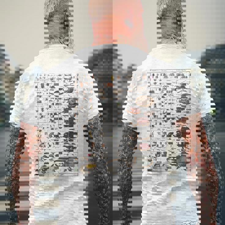 Insect Collection Species Bugs Vintage Chart Entomology Premium Men's ...