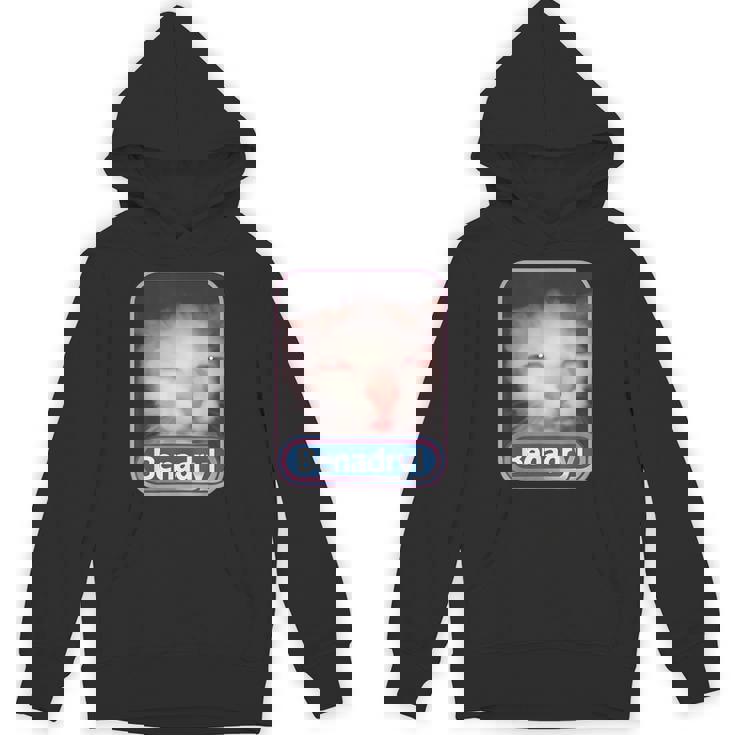 Benadryl Meme Cat Benny Cute & Meme Quote Hoodie | Mazezy