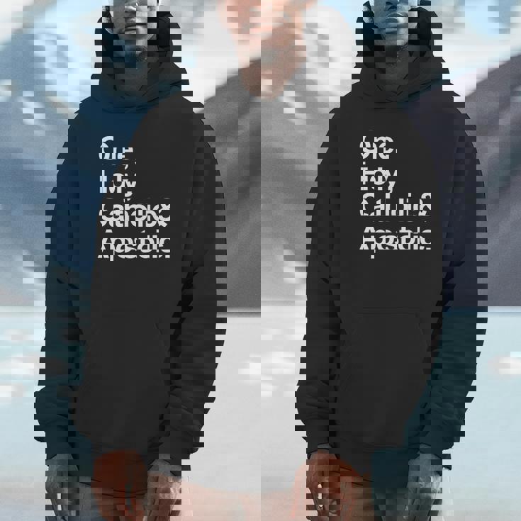 Nicene Creed Ampersand Catholic Liturgy Mass Premium Unisex Hoodie ...