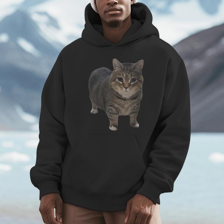 Oiia Oiia Spinning Cat Meme Oiiai Oiiiai Brainrot Unisex Hoodie - Monsterry