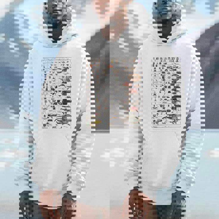 Insect Species Science For Identifying Age Unisex Hoodie - Monsterry