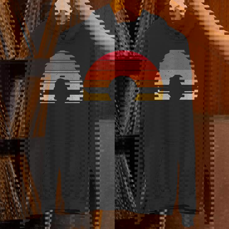 Onewheel GT Vintage Sunset Float GTS One Wheel Unisex Hoodie - Monsterry