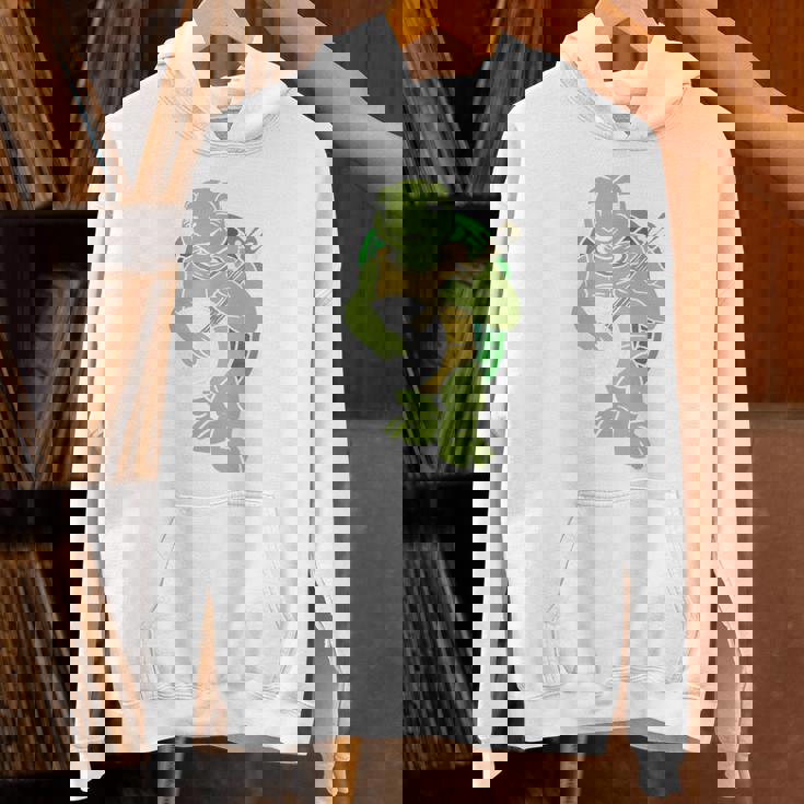 Banjo Turtle Vintage Terrapin Bluegrass Graphic Unisex Hoodie - Monsterry