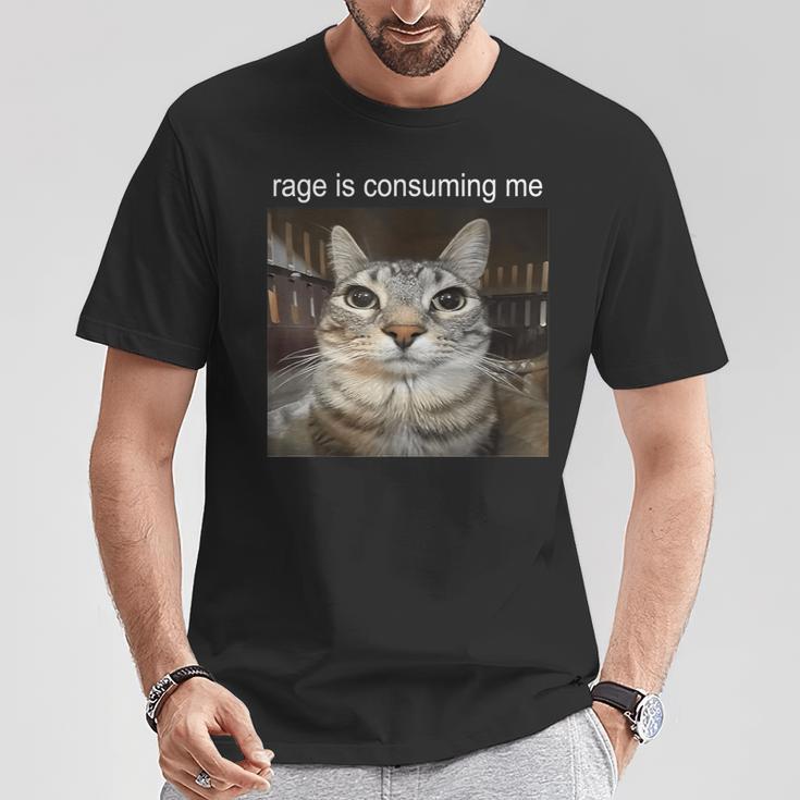 Rage Is Consuming Me Silly Cat Meme T-Shirt | Mazezy