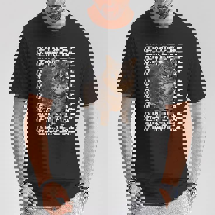 Spinning Cat Meme Oiiaoiia Cat Meme T-Shirt | Mazezy