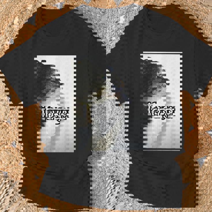 Silly Cat Meme I Forgor Cringe Brainrot Meme T-Shirt - Thegiftio