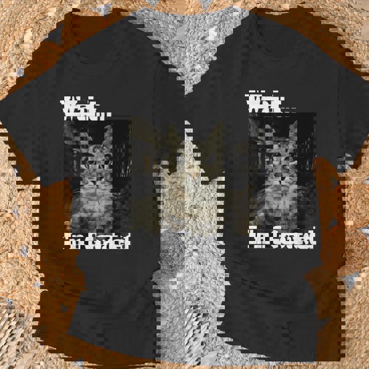 Wait I'm Goated Brainrot Cat Meme T-Shirt | Mazezy